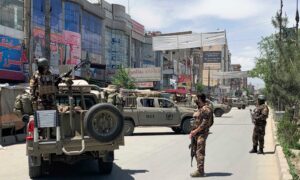 IPL 2025: Robo-Dog ‘Champak’ explained | Ariana News | Afghanistan News