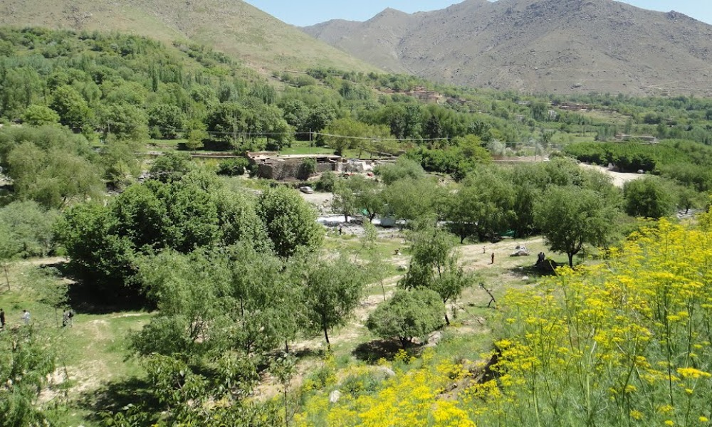 Wardak MP claims Taliban seized parts of Jalrez district | Ariana News ...