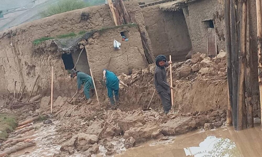 300 homes, 1,500 acres of farmland destroyed in Balkh flood | Ariana ...