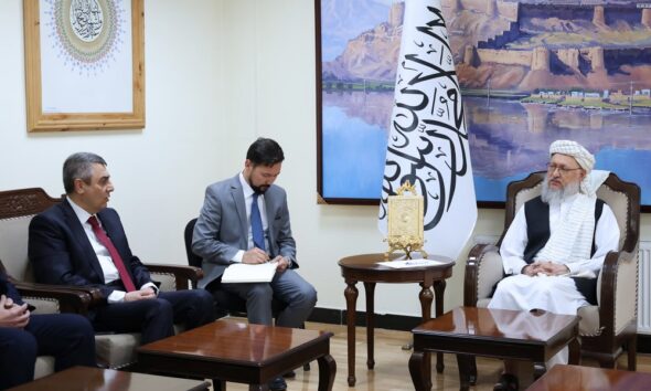 Hanafi urges Islamic countries help create job opportunities and ...