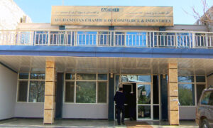 500 passports being issued daily in Kabul: Officials | Ariana News