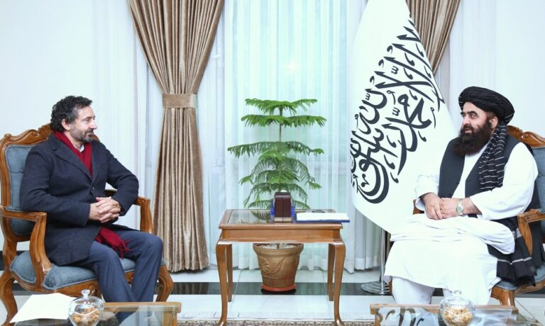Acting FM Muttaqi meets IFRC head, urges services for remote areas ...