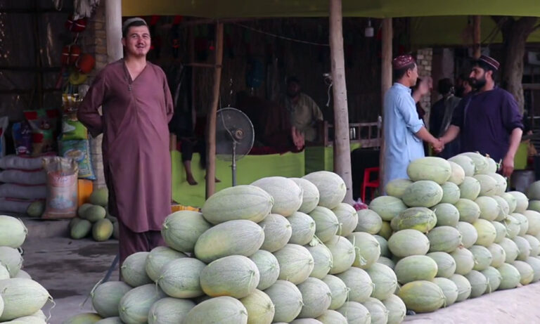 Rashid Khan bows out in style as Invincibles power through knockout ...