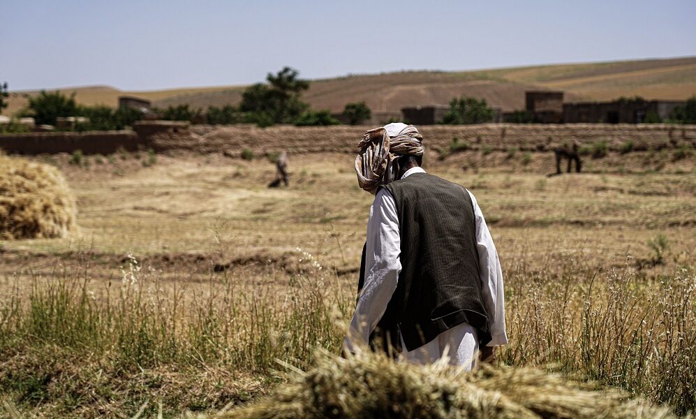 FAO warns of dry winter, low snowfall and rising food insecurity risks ...