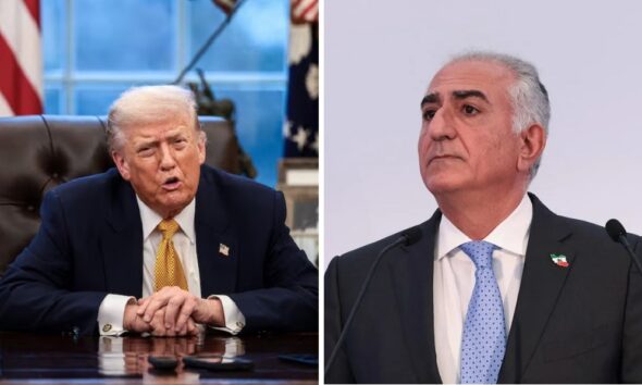 Trump questions Reza Pahlavi's ability to garner support in Iran ...